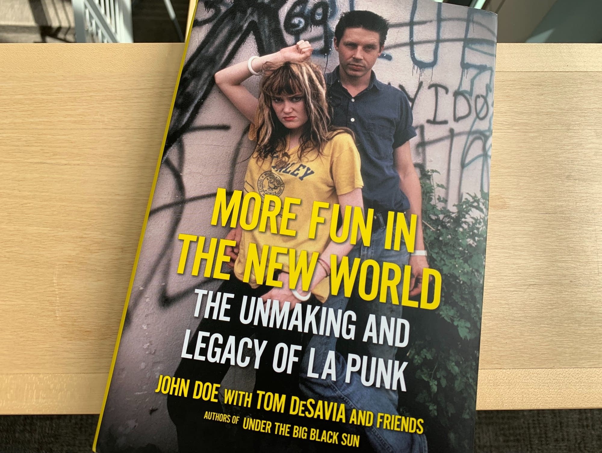 Rock and Roll Book Club: 'More Fun in the New World' follows L.A. punks ...