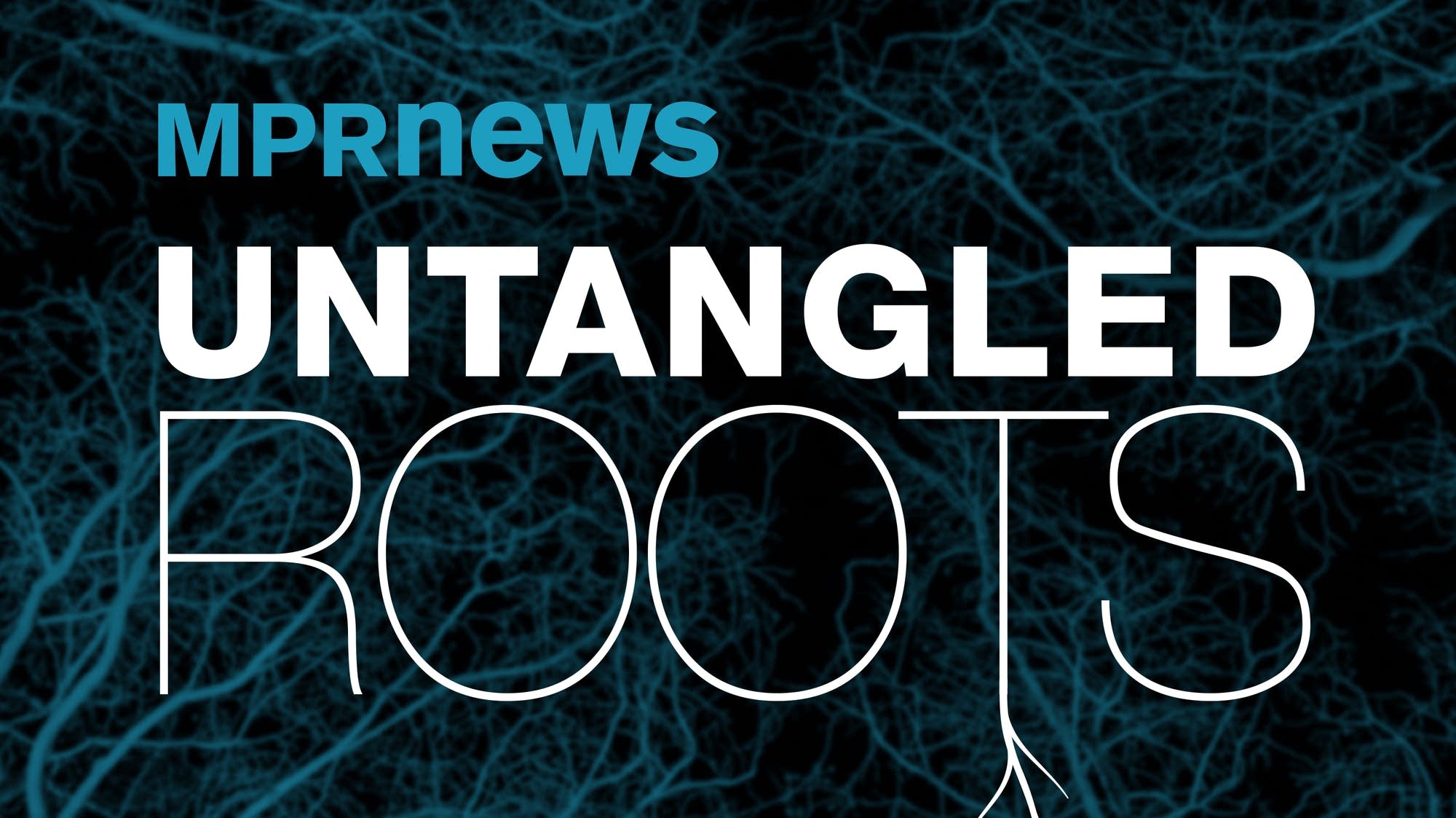 Untangled Roots | MPR News
