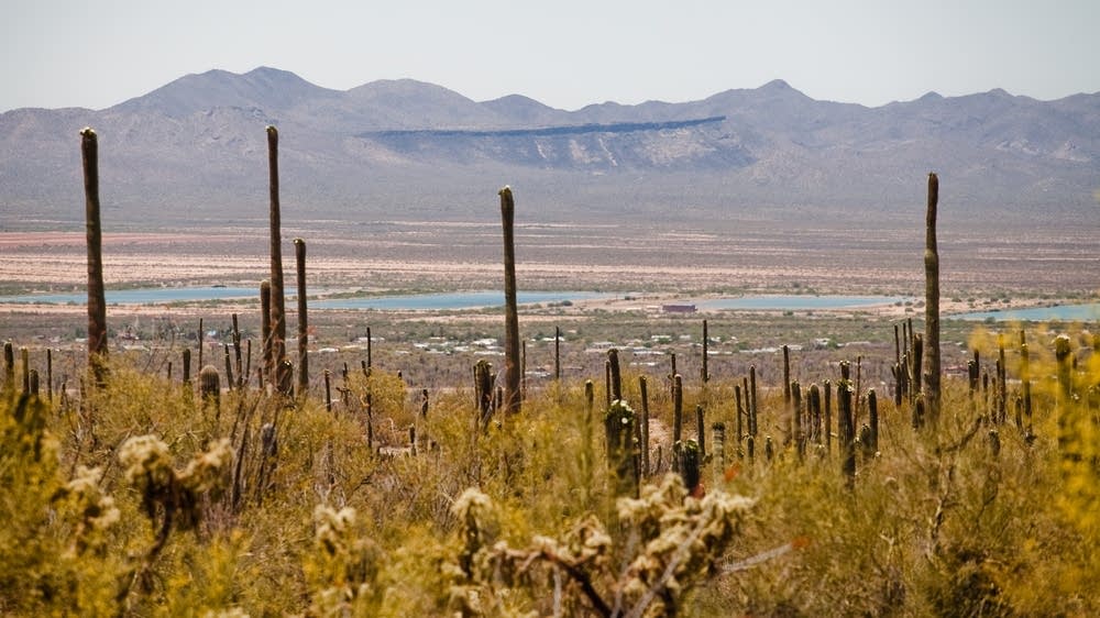 What Minnesota can learn from Arizona about water | MPR News