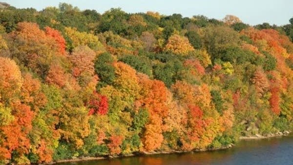 Cooler front Tuesday; 80 returns by Sunday? Spectacular fall color ...