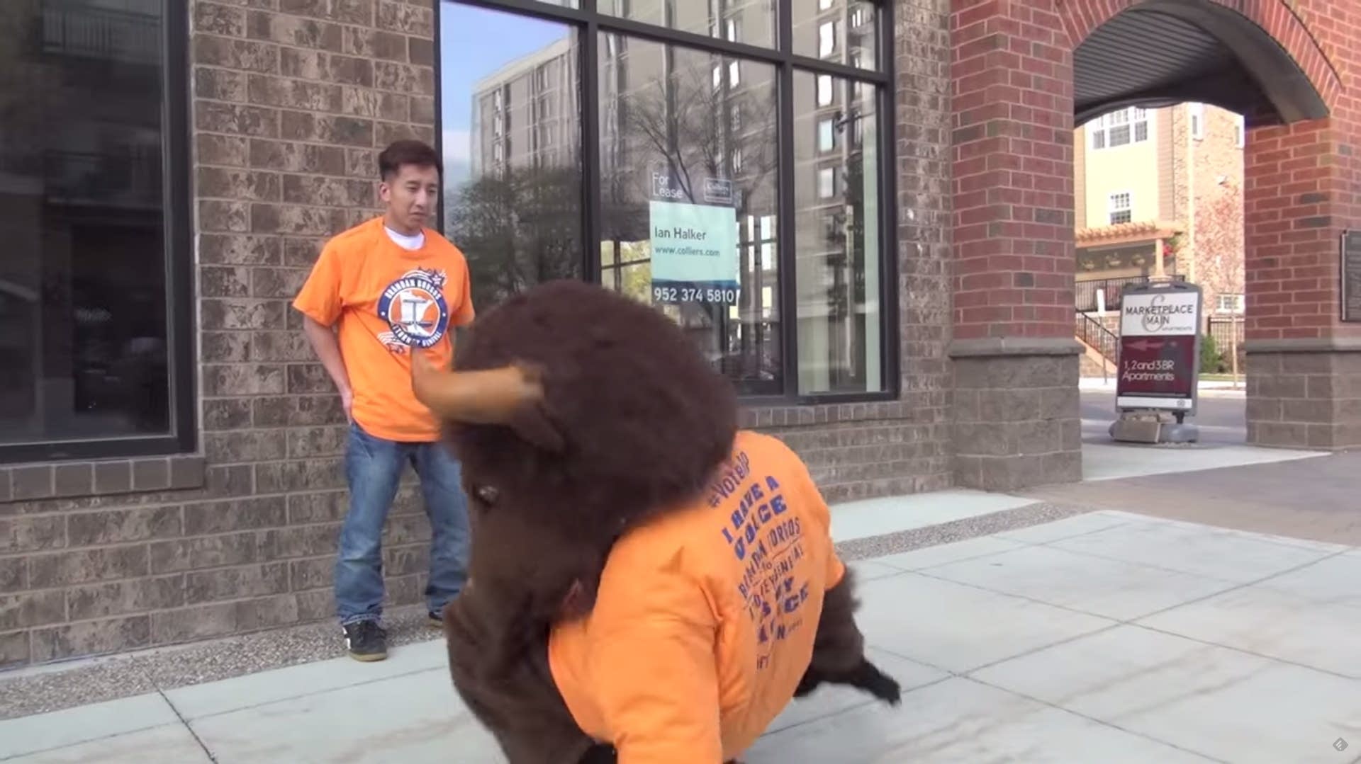 AG campaign enters break-dancing bison phase | MPR News