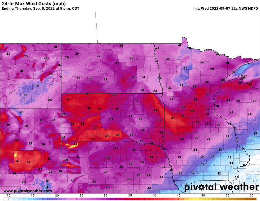 Hot and muggy followed by rain and cooler temperatures | MPR News