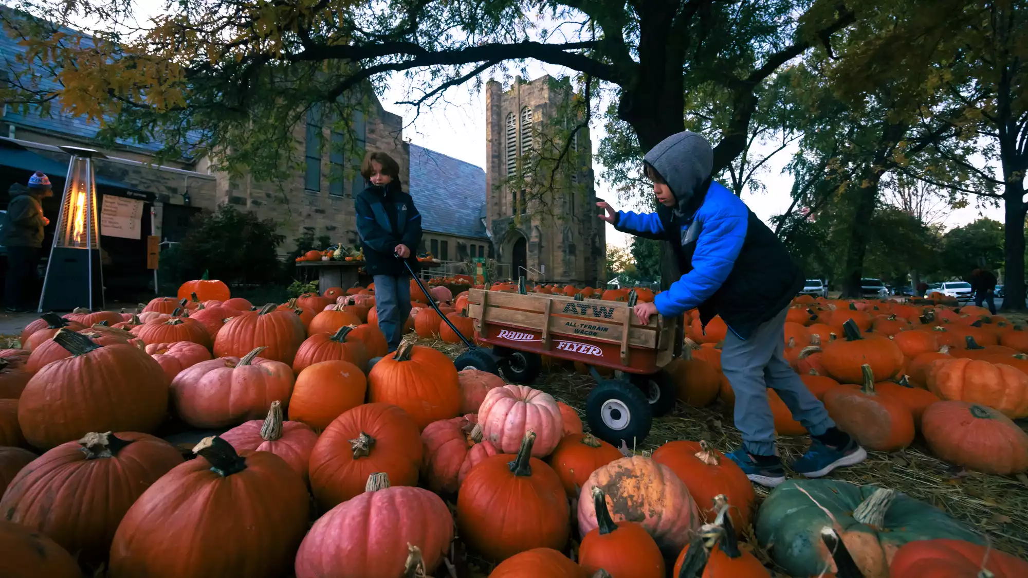 Pumpkins can be composted, donated to farms, fed to wildlife | MPR News