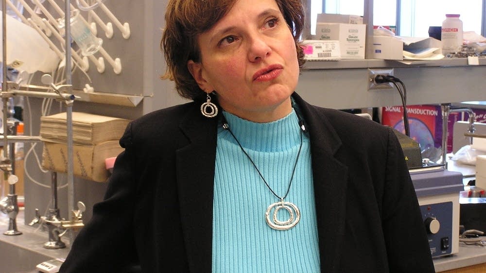 Cardiac regeneration scientist Doris Taylor leaves U of M for Texas ...