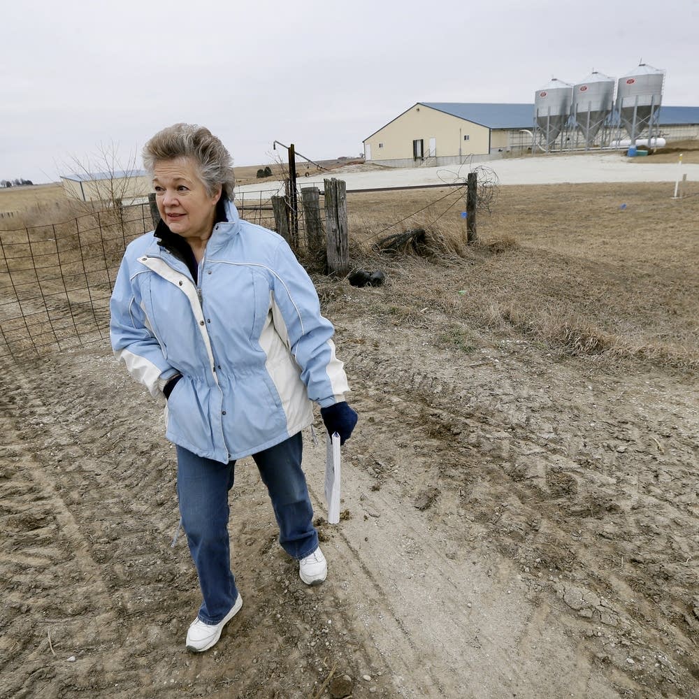 Hog Operations In Iowa