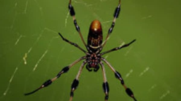 Where are they now? | MPR News