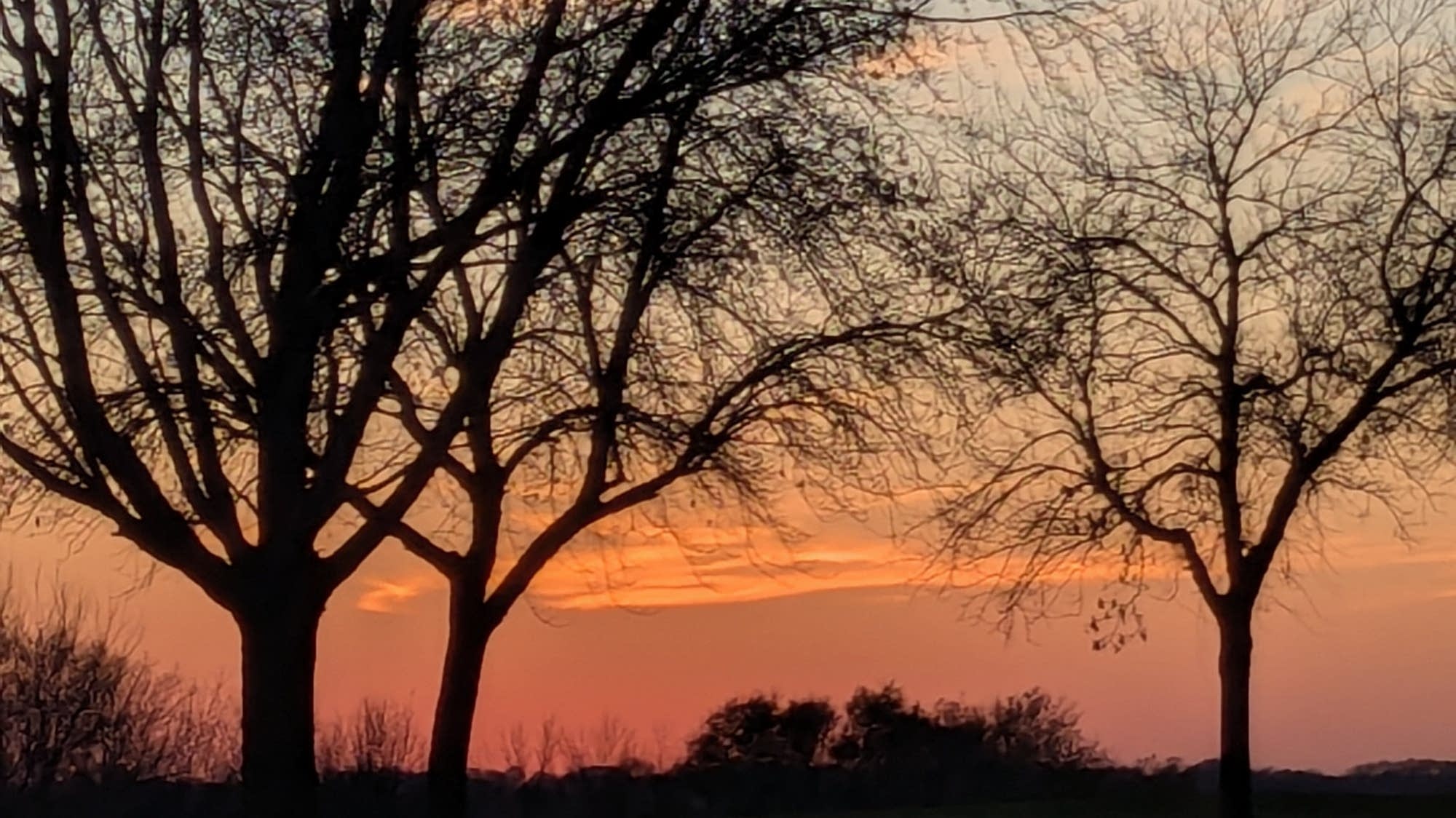 A snowless November? It's possible but not certain — yet | MPR News