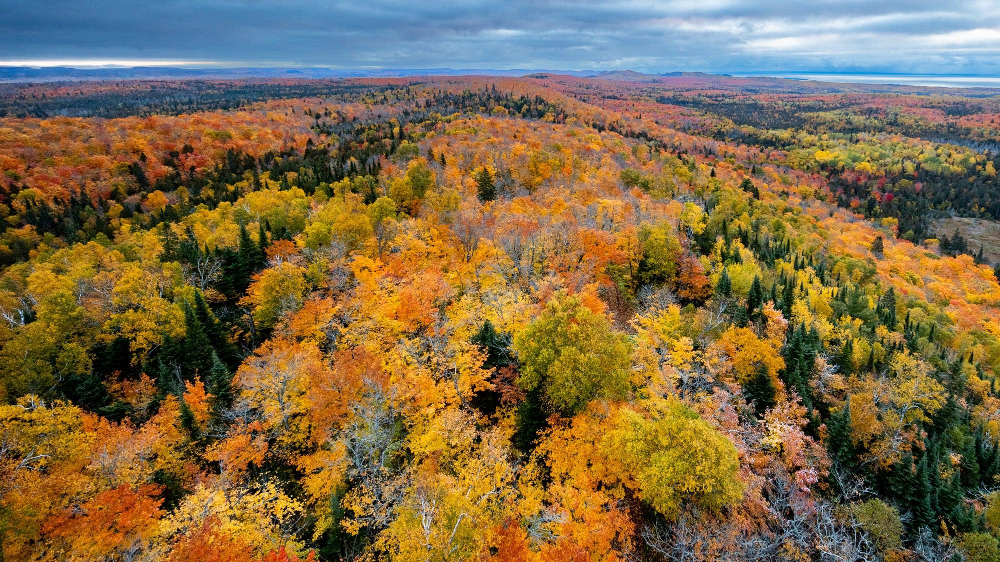 Where to embrace the charm of fall in Minnesota | MPR News