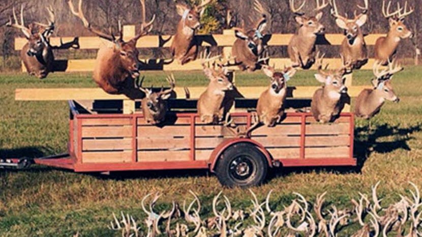 For lack of a warrant for GPS tracking, alleged poacher goes free | MPR ...