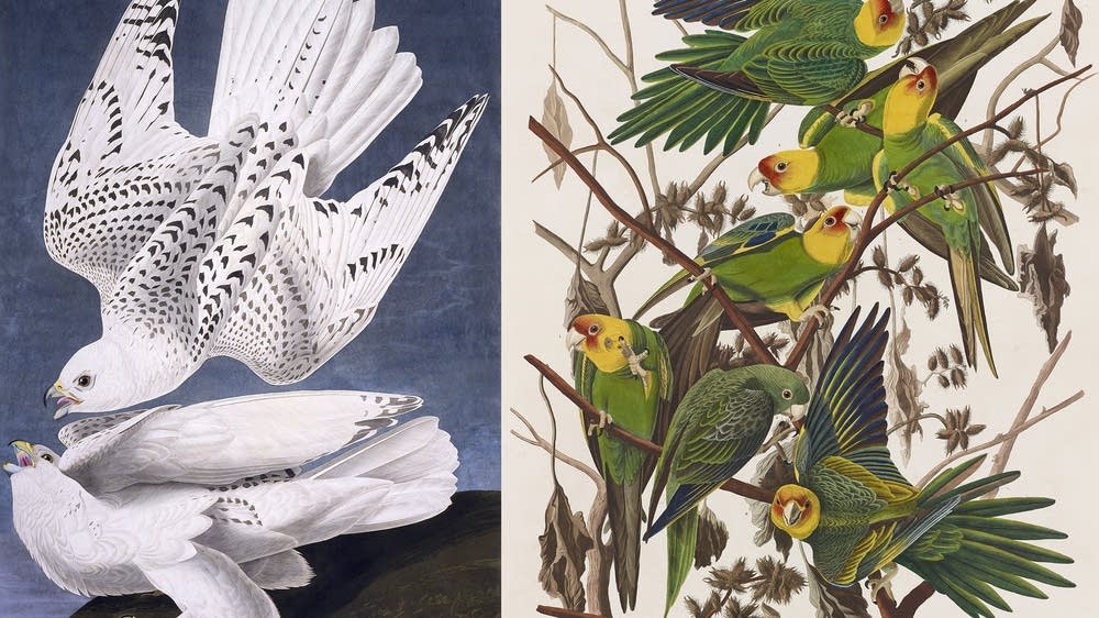 New exhibit looks at the controversial genius of John James Audubon ...