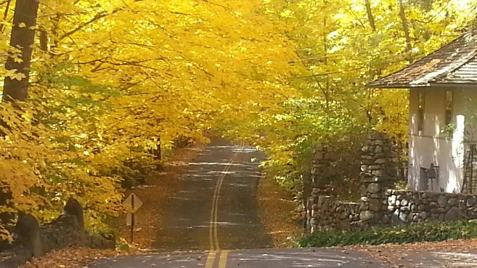 2014: A perfect weather year for fall color? | MPR News