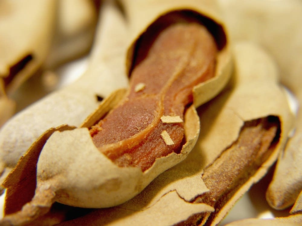 Tamarind Water and Tamarind Pulp | The Splendid Table