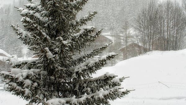 Celebrating the Season