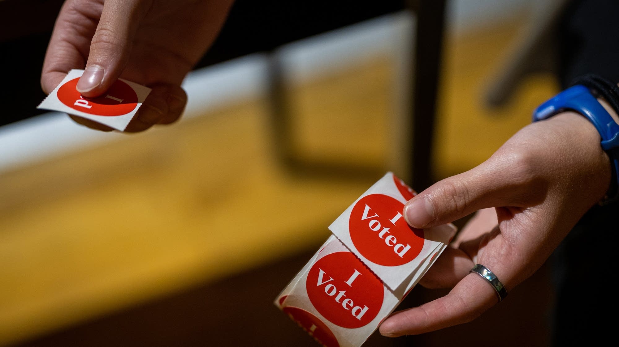 MPR News Voter Guides, explained | MPR News