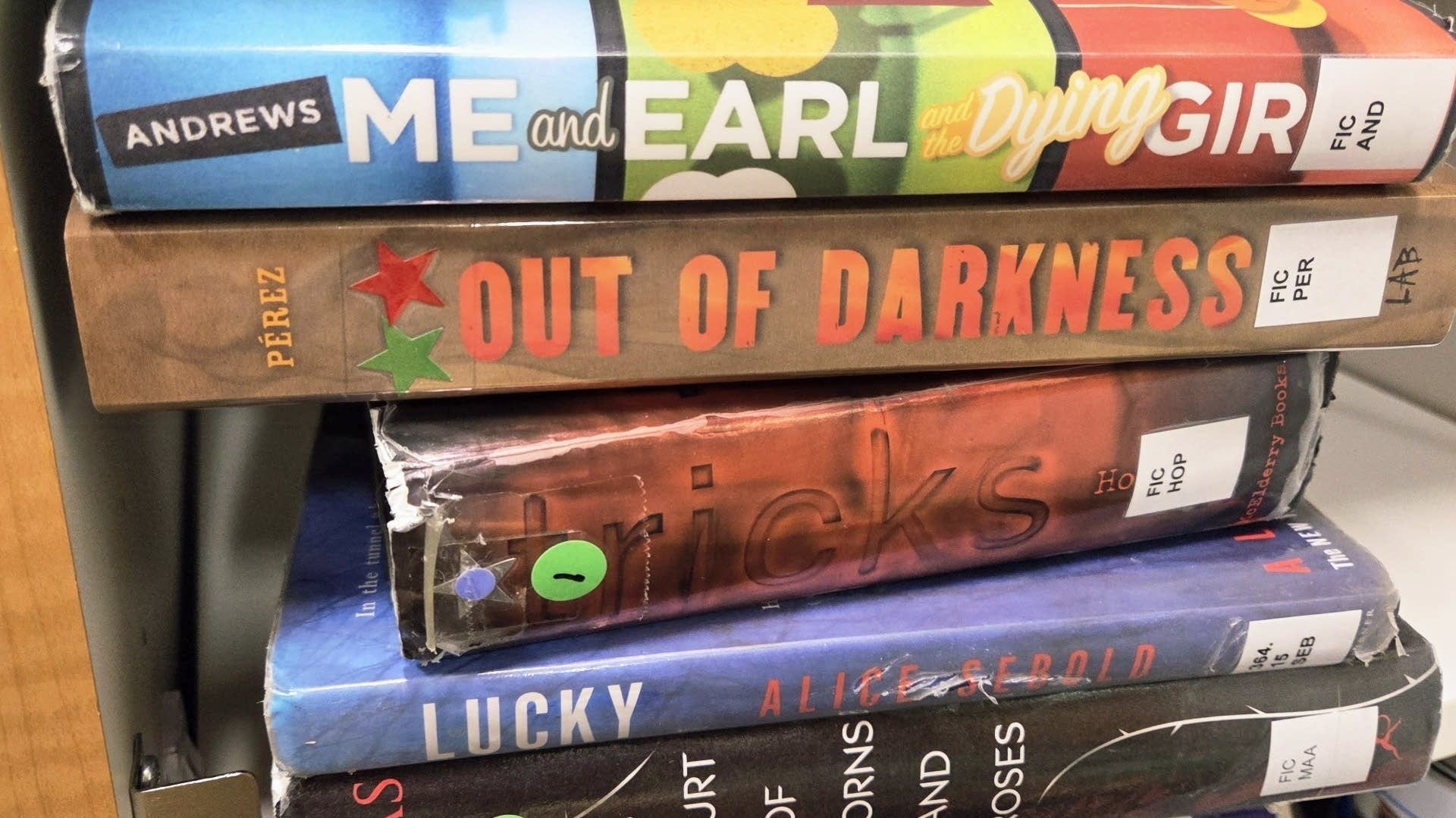 ACLU of Minnesota, Education Minnesota file suits against St. Francis ...