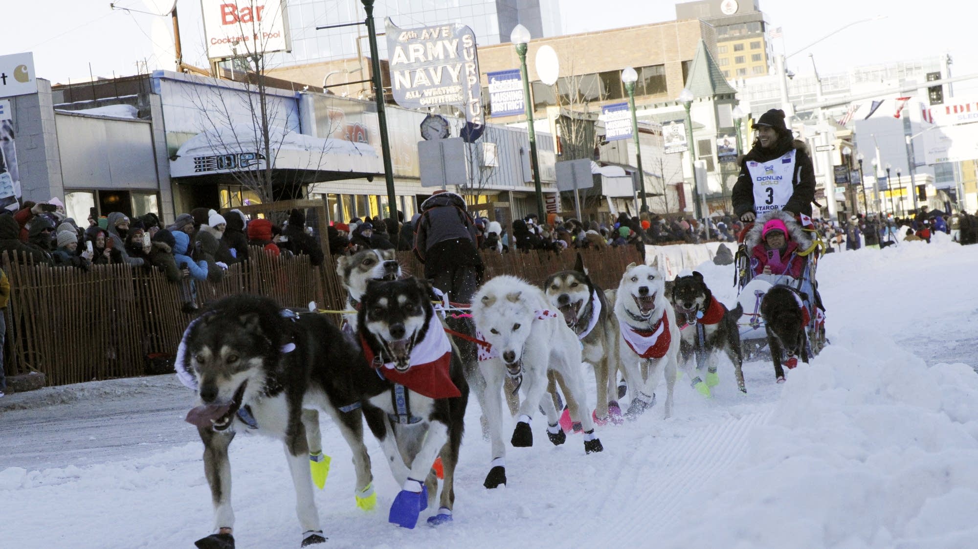 Alaska's Iditarod dogs get neon visibility harnesses after 5 were ...