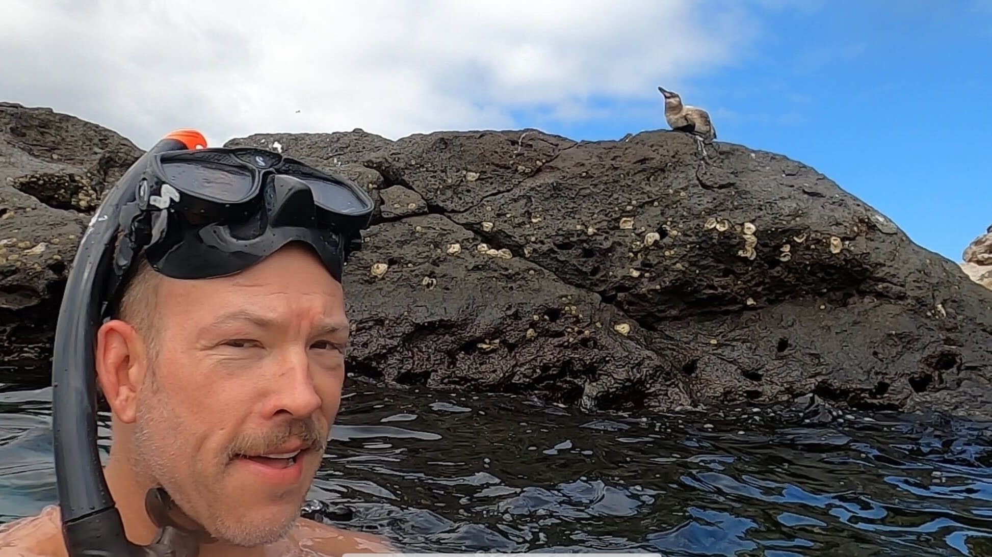 On the Galapagos Islands, MPR’s Sven Sundgaard sees signs El Niño may ...