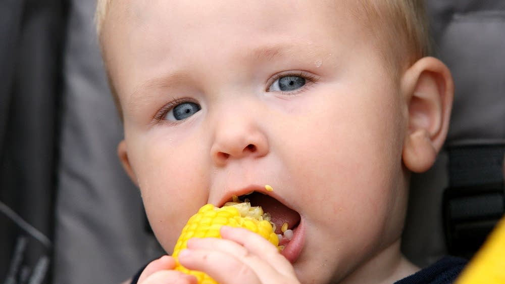 Tons of corn, free for all | MPR News