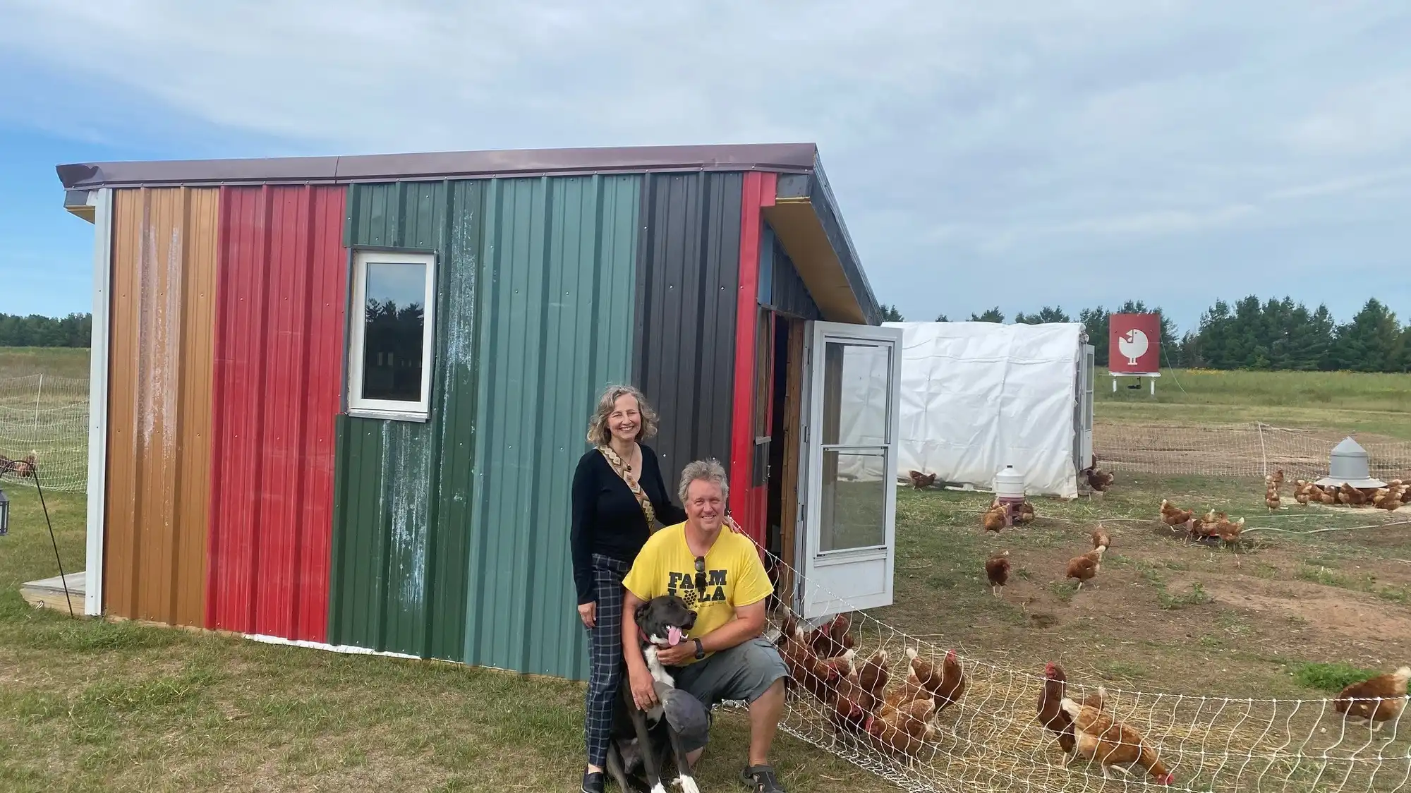 AirB-N-BAWK? Minnesota chicken farmers on their unique agritourism ...