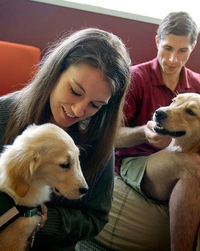Are Dogs Allowed In College Dorms