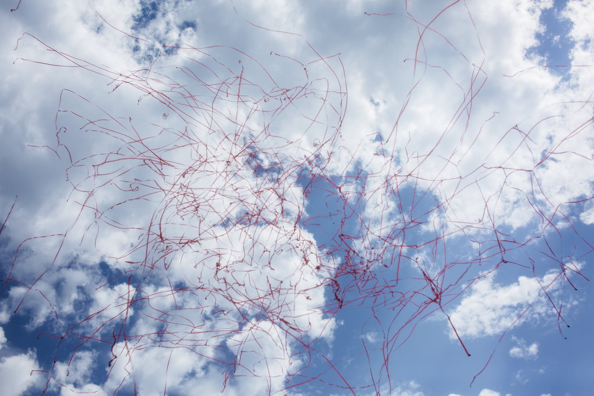 Photos: Delano puts on 'oldest and largest' July 4 celebration | MPR News