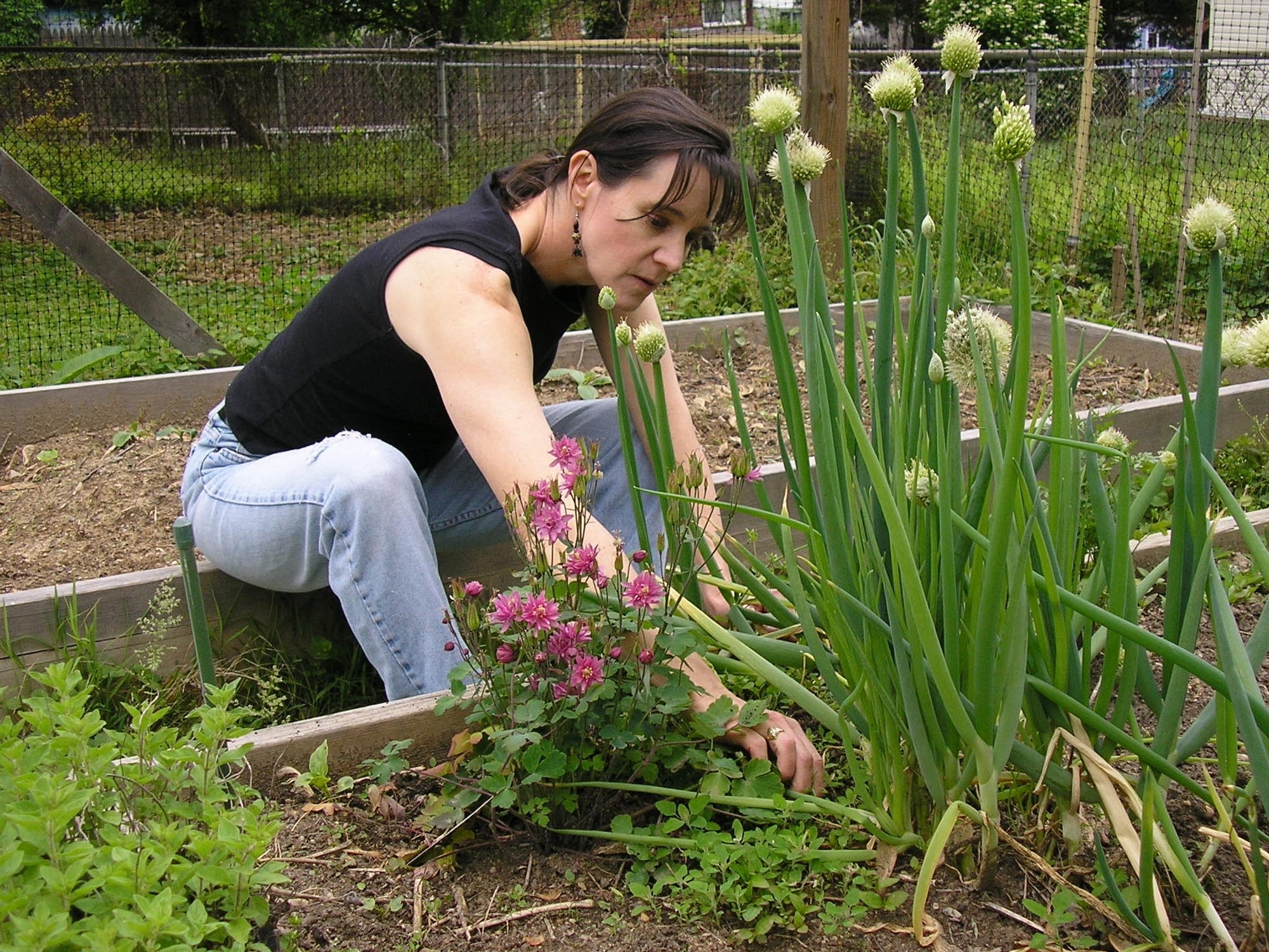 How much does organic gardening really save you? | The Splendid Table