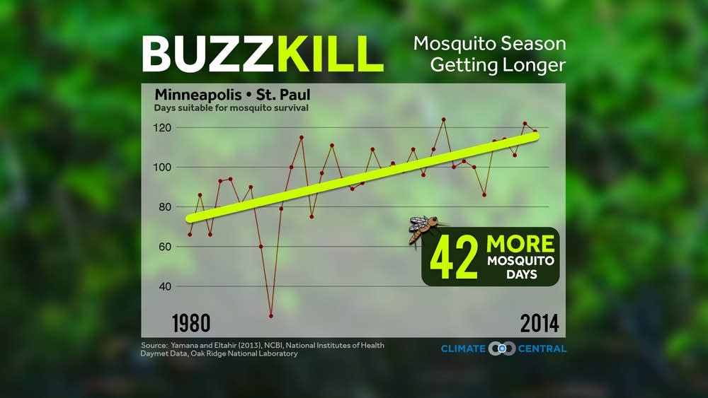 Minnesota’s expanding mosquito season; Climate Cast 9 am Wednesday ...