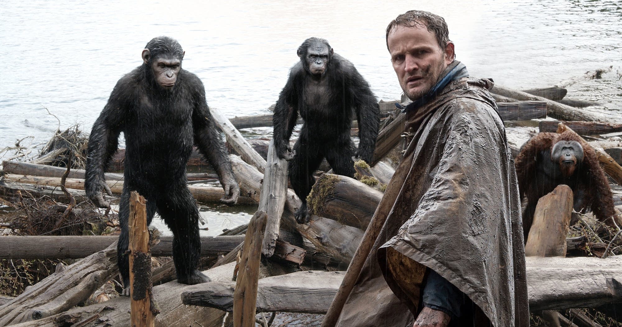 Movie Maven: 'Dawn of the Planet of the Apes'