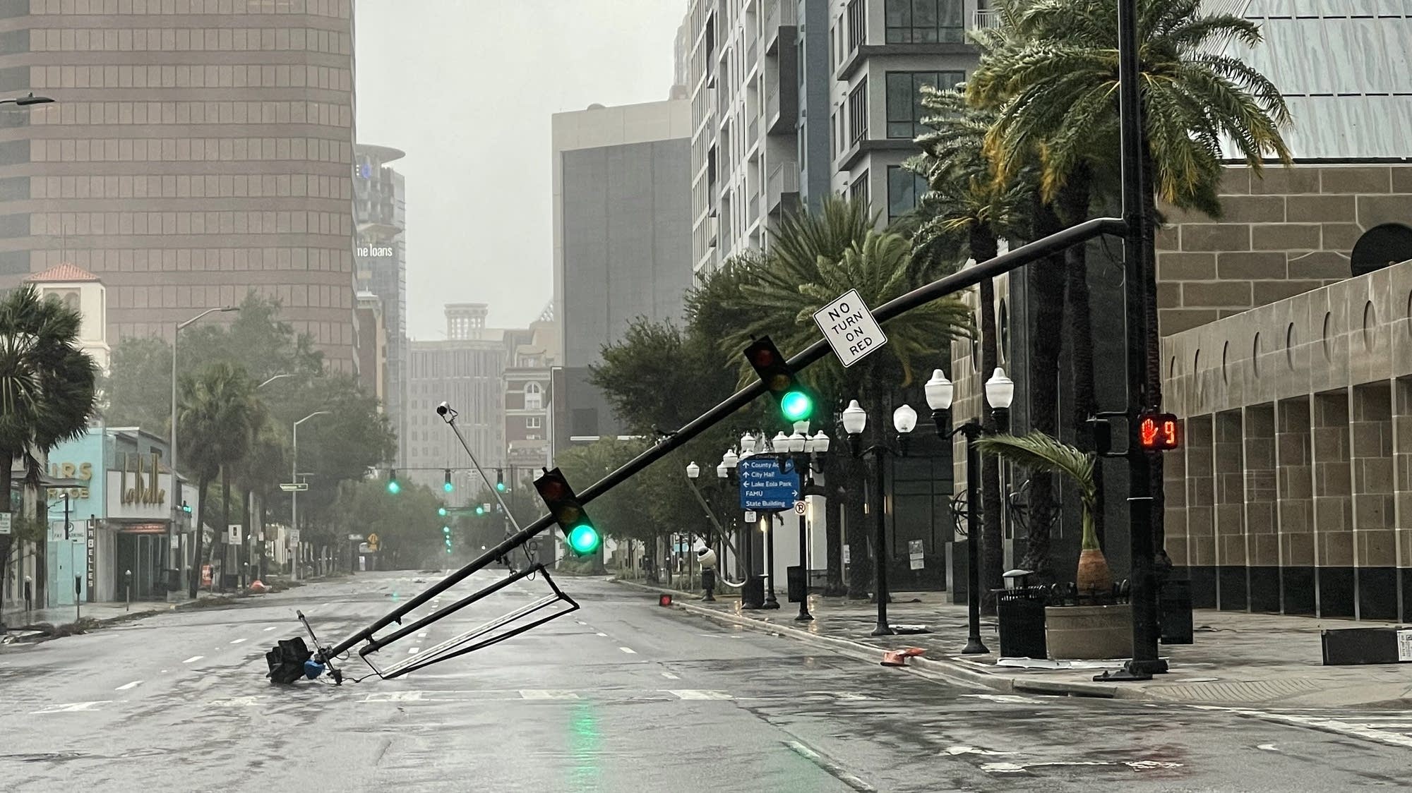 Tropical Depression Nicole moves through Georgia | MPR News Tropical Depression Nicole moves through Georgia | MPR News