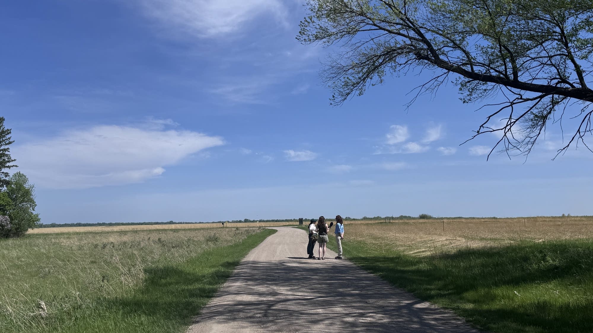Road trip to Moorhead: Birds, bugs and flowers thrive in tallgrass ...
