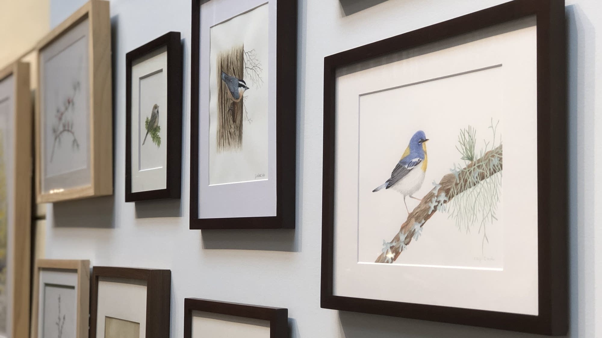 In a changing climate, the work of botanical artists takes on new ...