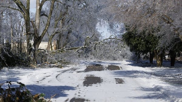 Winter storm hits agriculture in the South