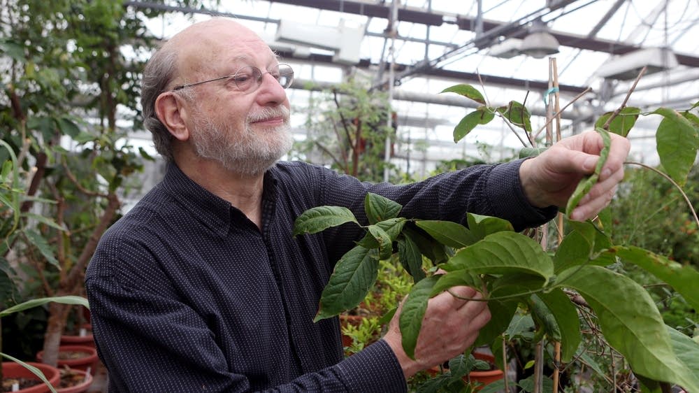 For U of M prof, hallucinogenic plants offer more than meets the eye ...
