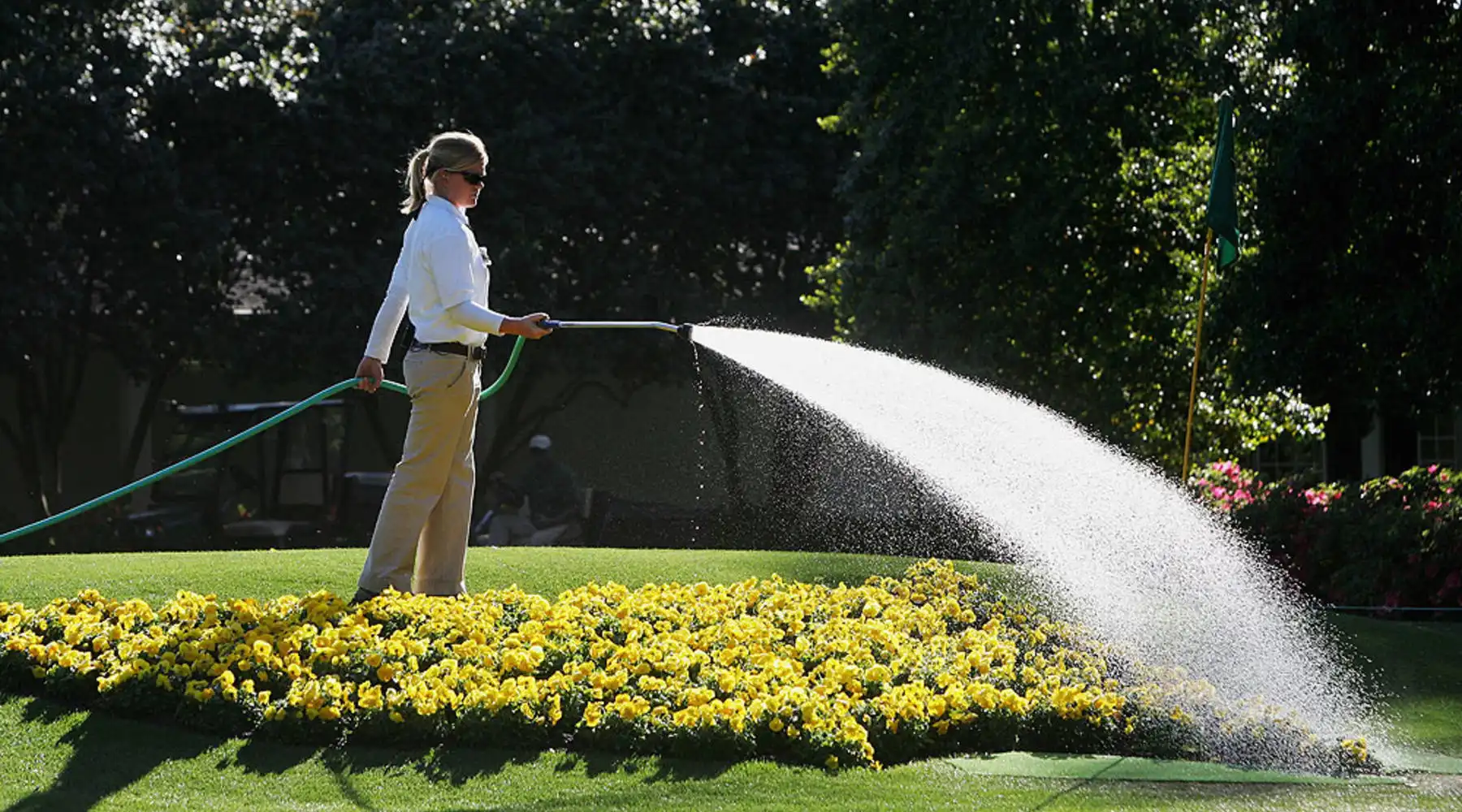 Who mows the lawn? The invisible golf course worker