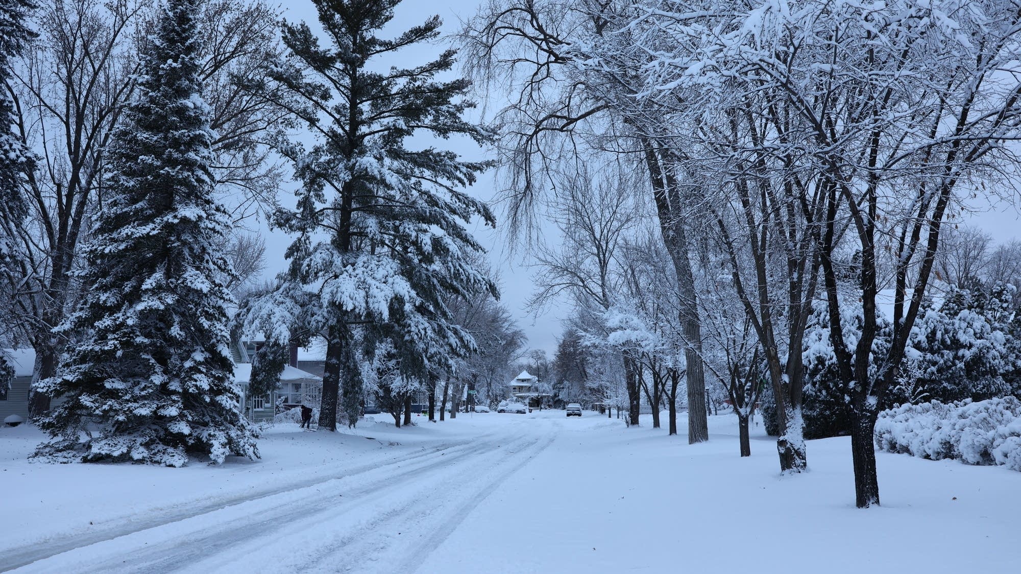 Minnesota snowfall totals: How much snow did you get? | MPR News