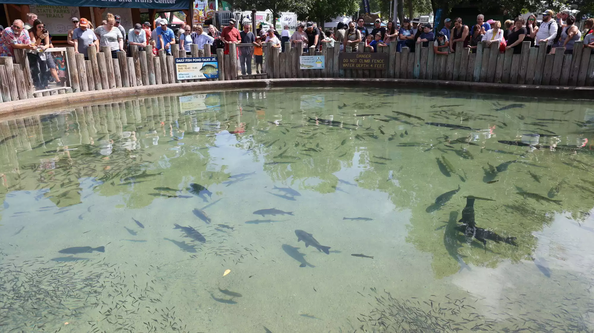 Infrequently Asked Fair Questions: What happens to the DNR fish after ...
