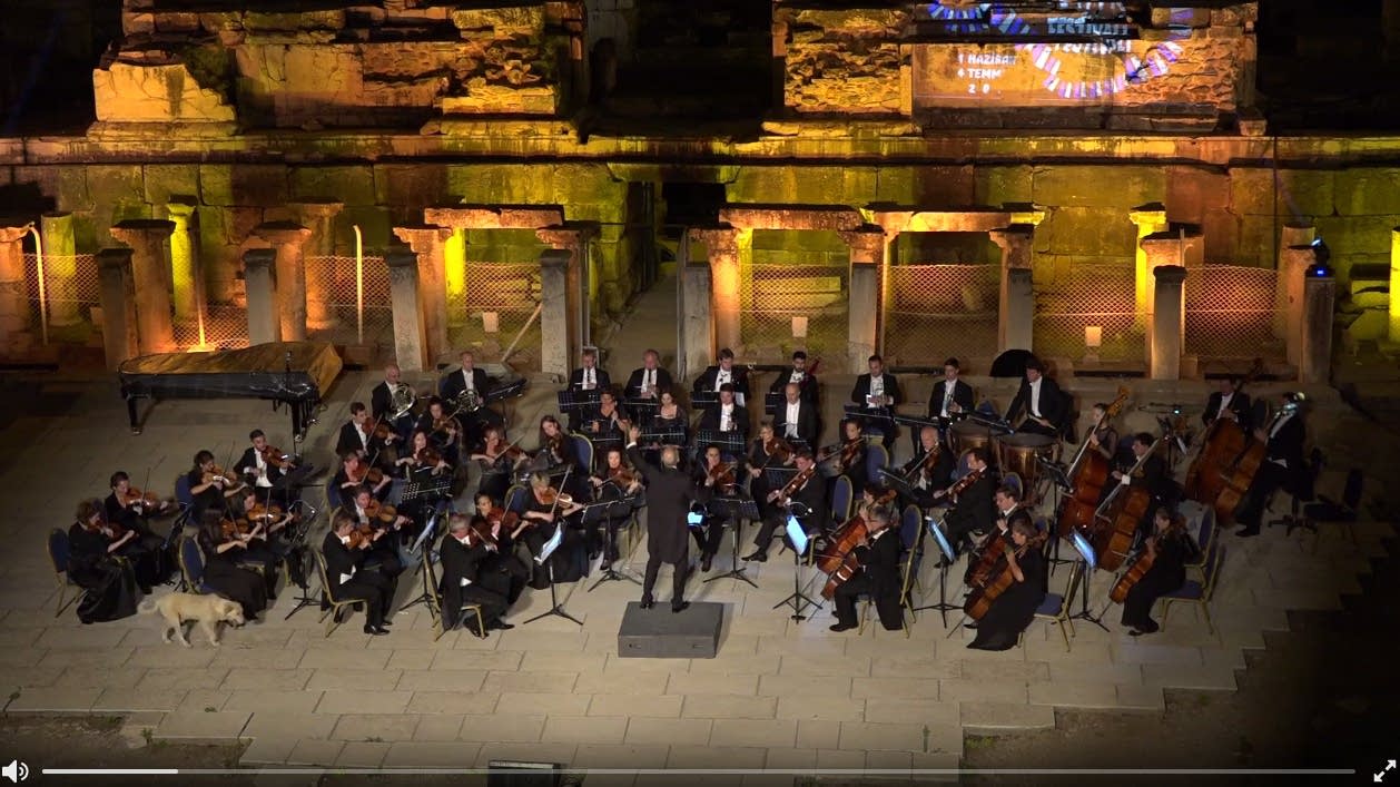 Dog wanders on stage during concert, likes what he hears | MPR News