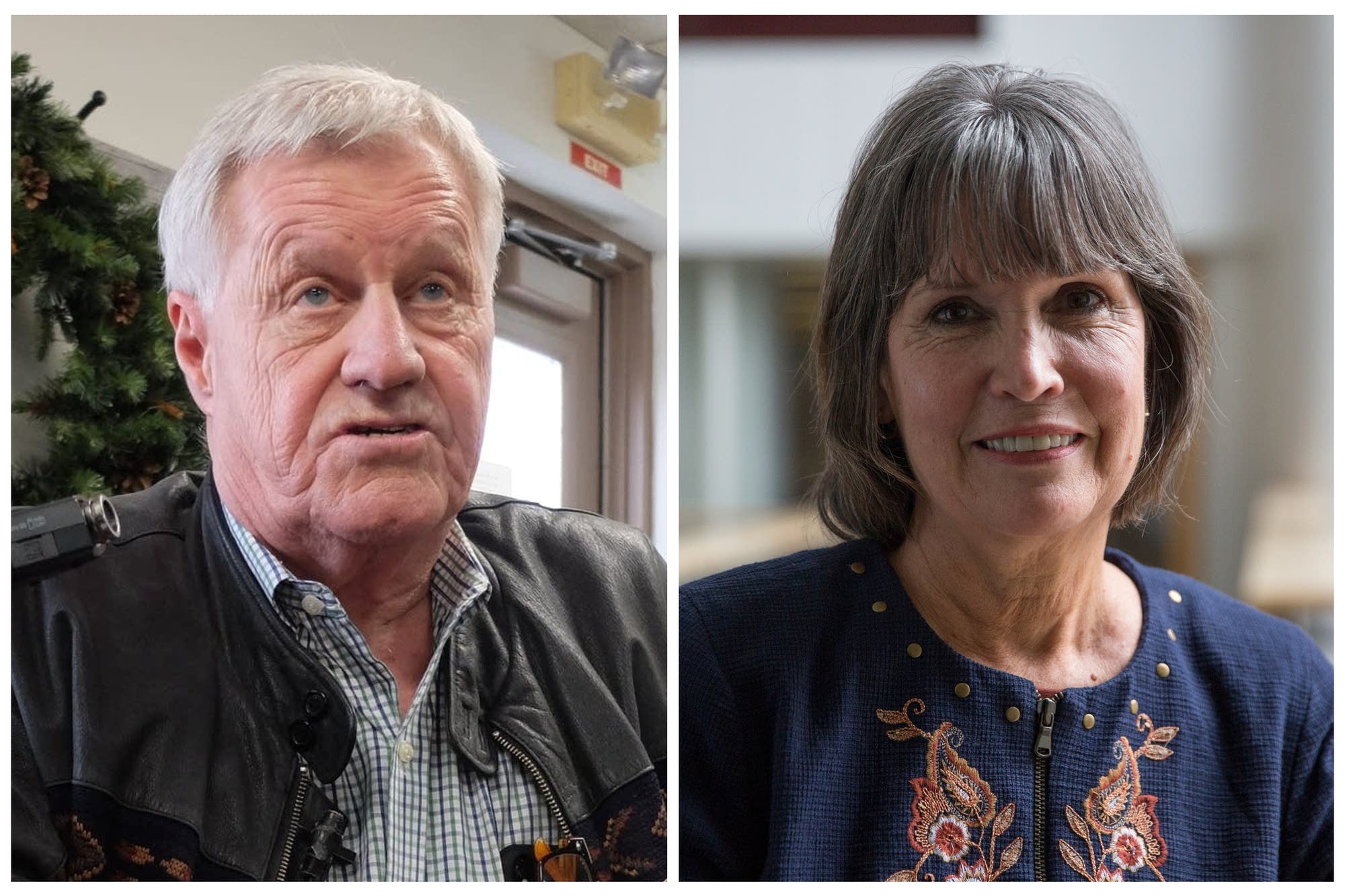 Pelosi allies Peterson and McCollum gain new power in Democratic House ...