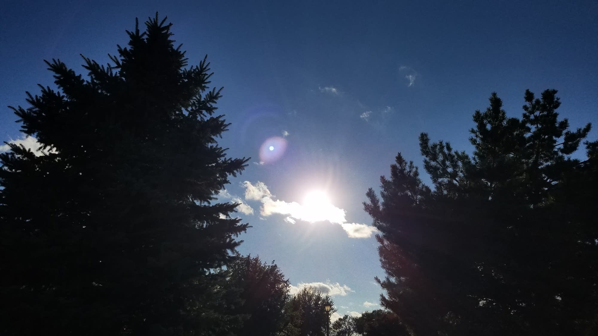 Sun returns, fall colors busting out | MPR News