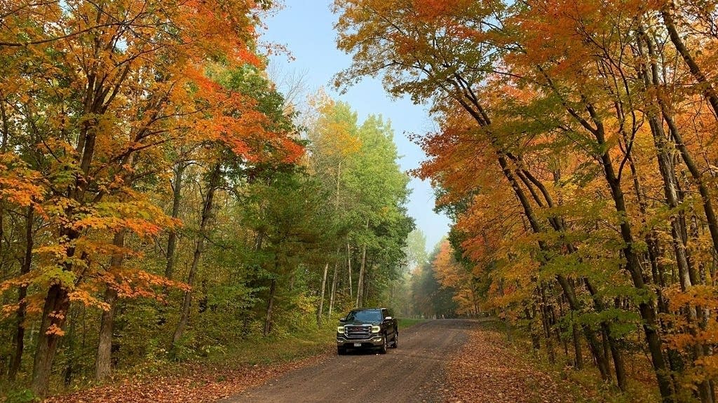 Good things come in trees: Northern Minnesota hitting peak fall color ...