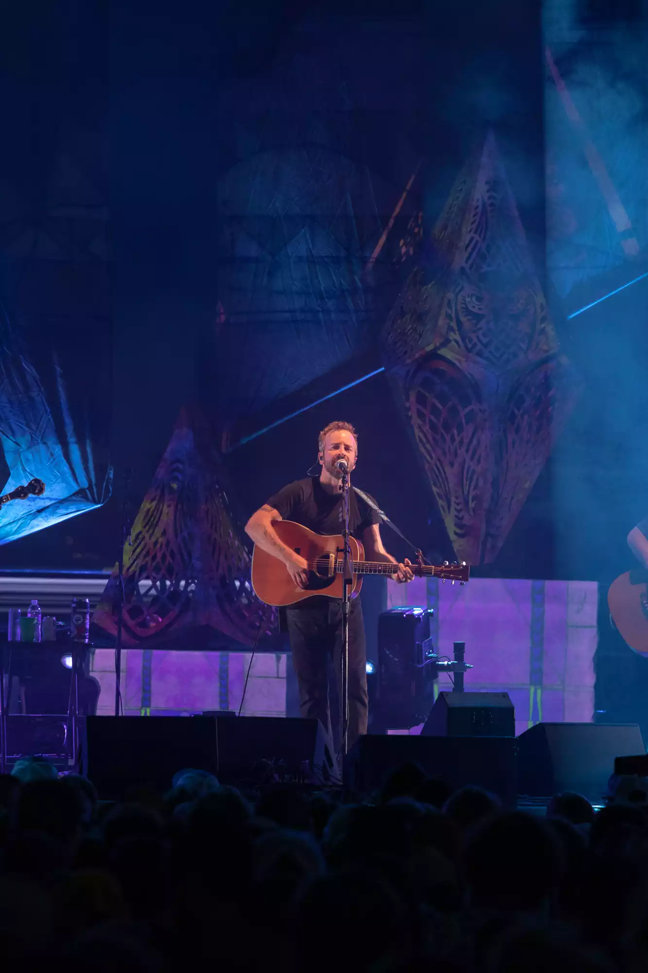 New music from Trampled by Turtles, Molly Brandt and more; Local Live ...