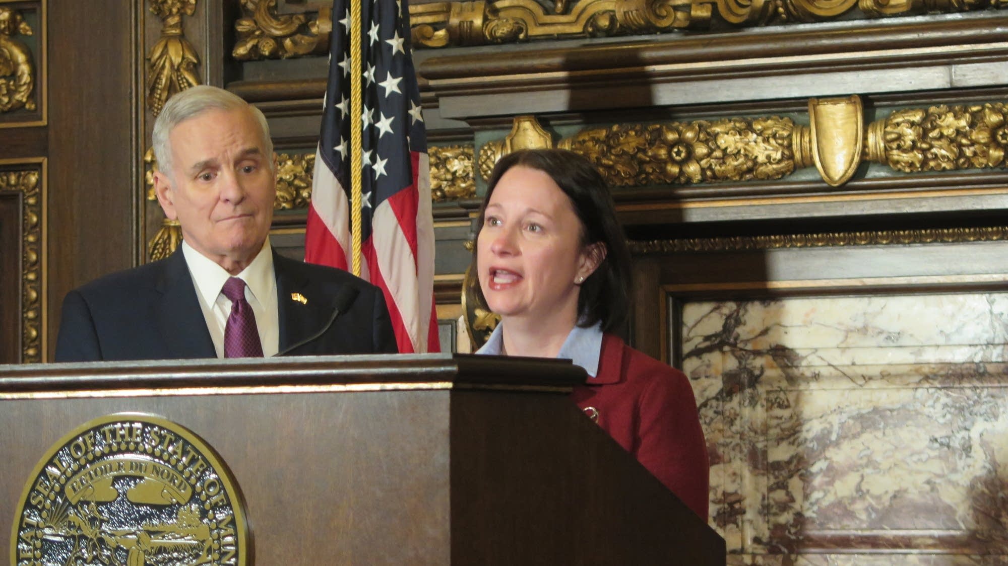 New MN.IT boss vows technology battle plan | MPR News