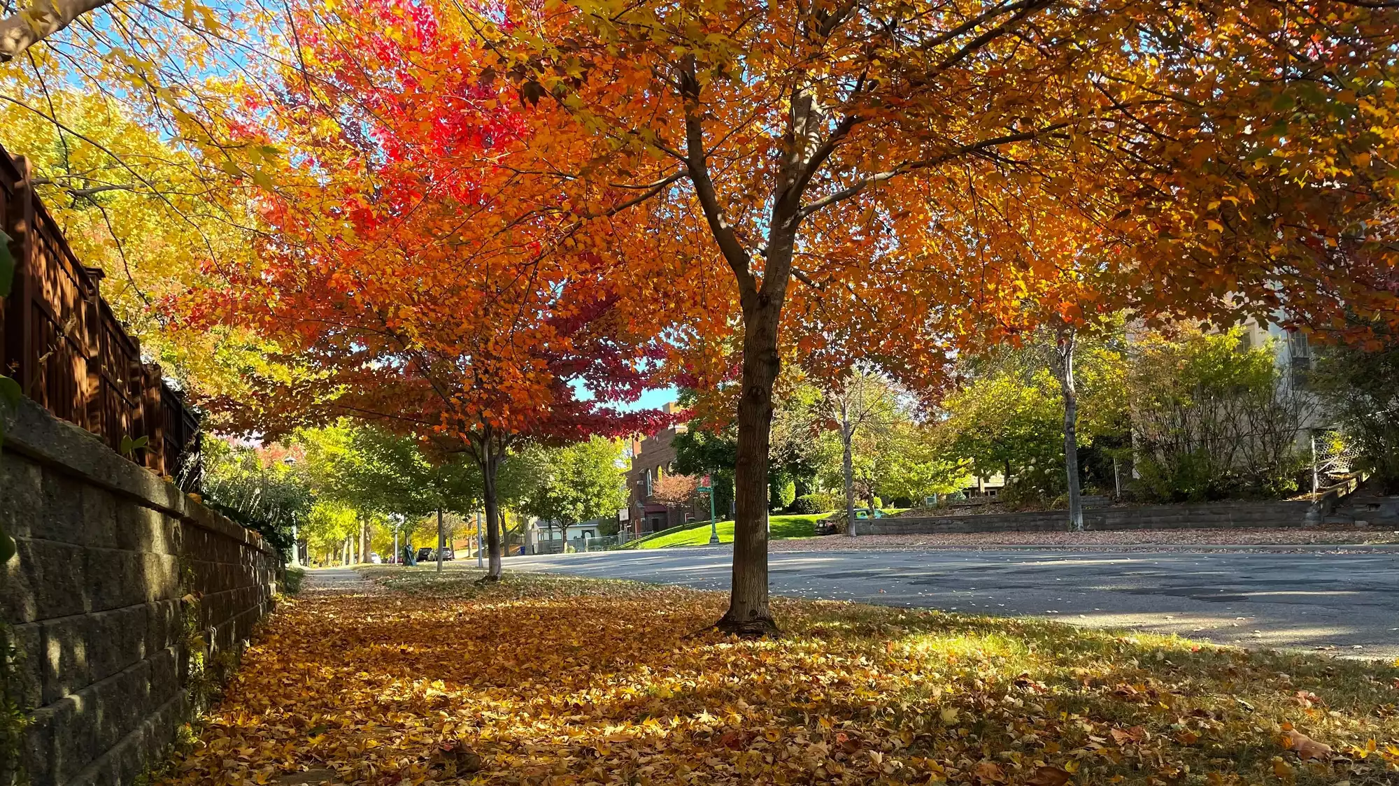 An October weather reality check with Paul Huttner | MPR News