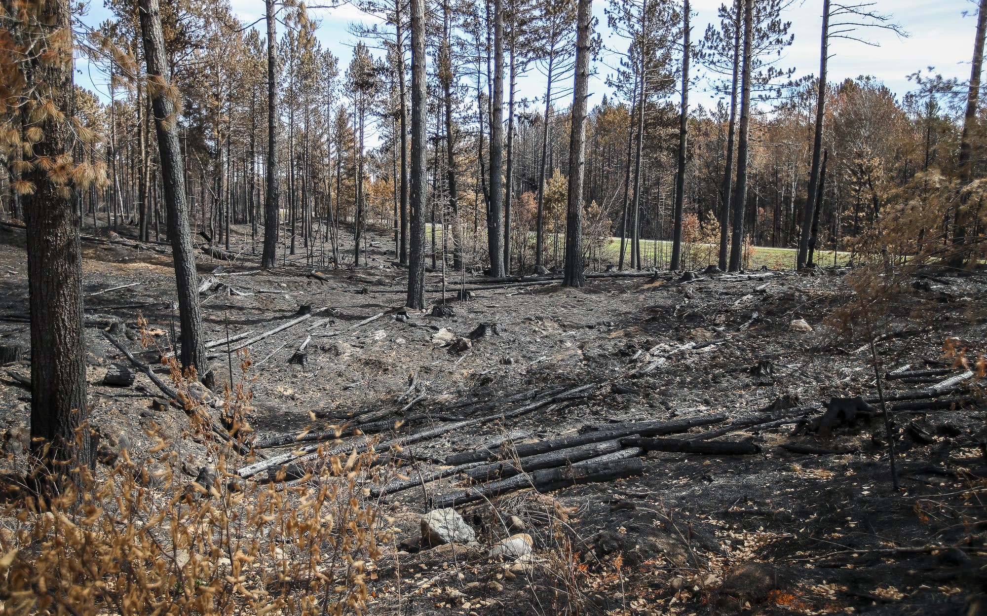 Officials say Greenwood Fire is now two-thirds contained | MPR News