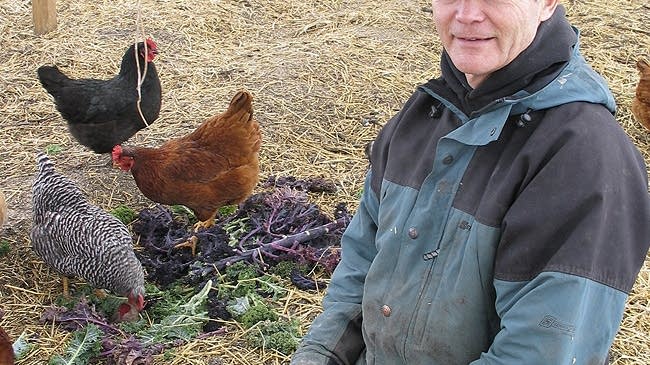 High tunnels stretch season for Fergus Falls pair | MPR News