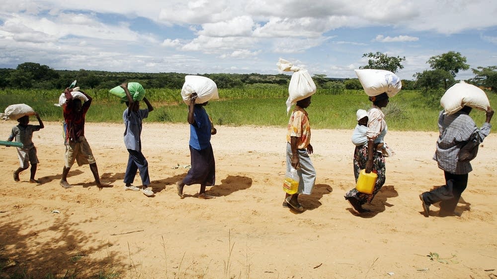 UN: World hunger declines for first time in 15 years | MPR News