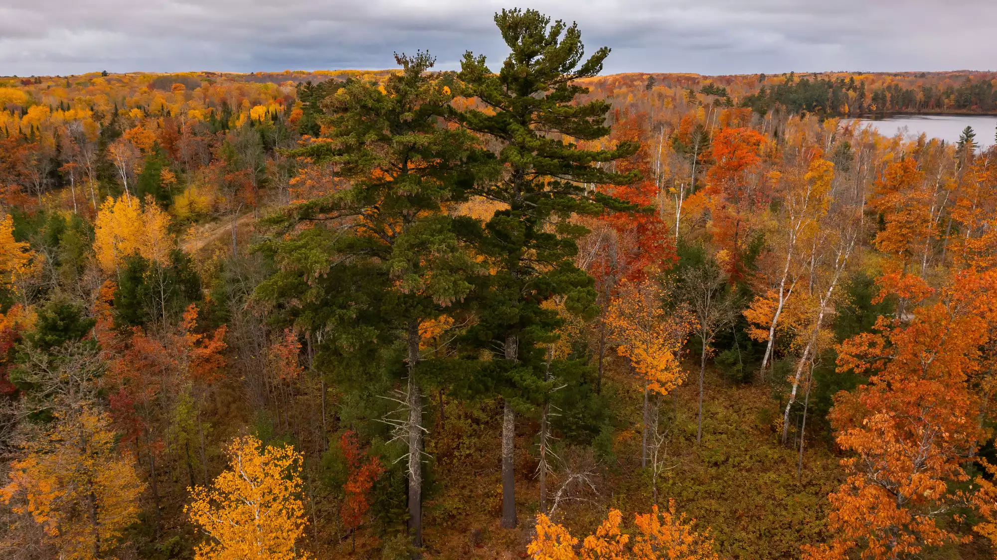 Explore the top three places in Minnesota for peak fall foliage this ...