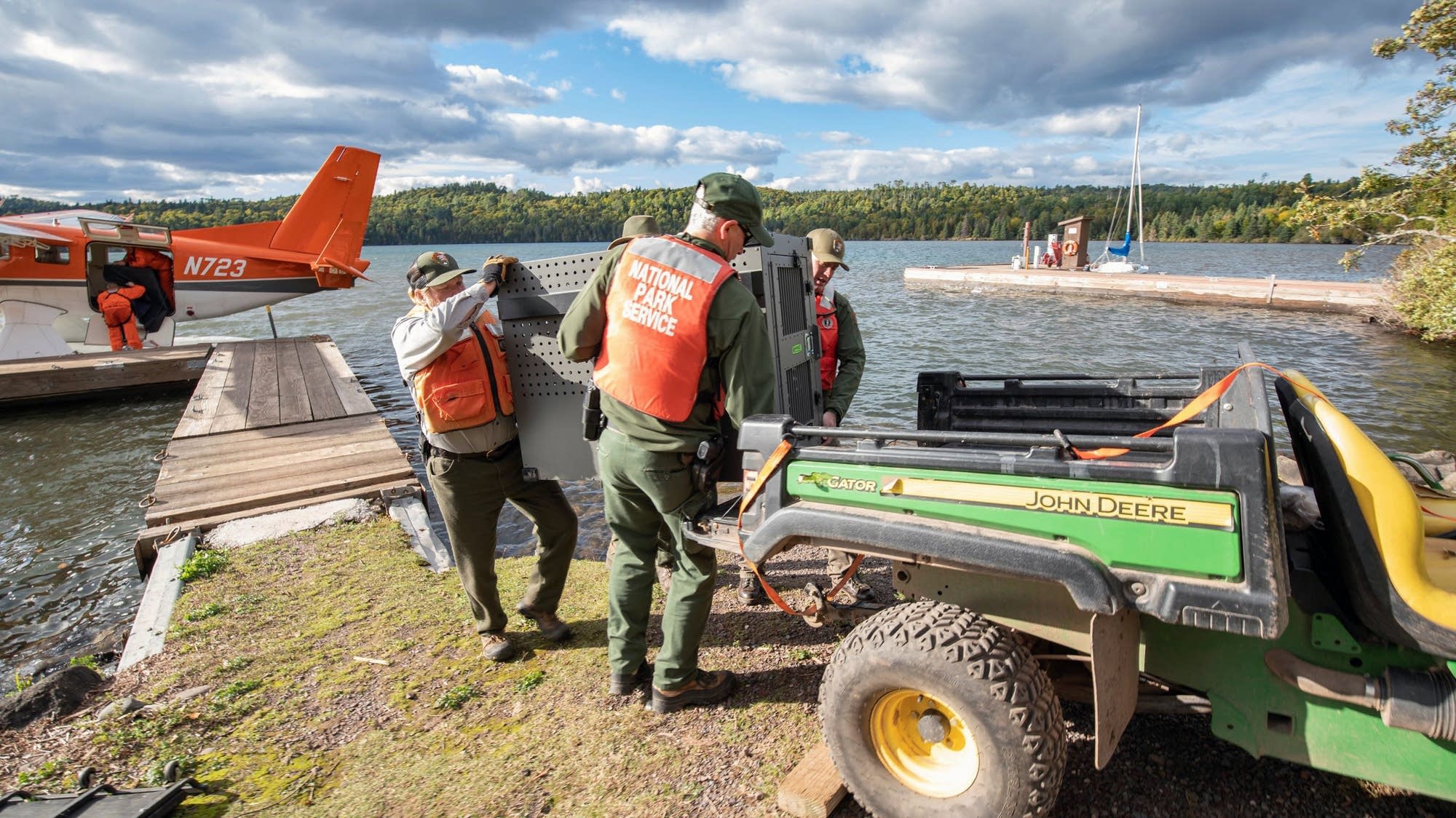 Wolf dies after capture in Minnesota for relocation to Isle Royale ...