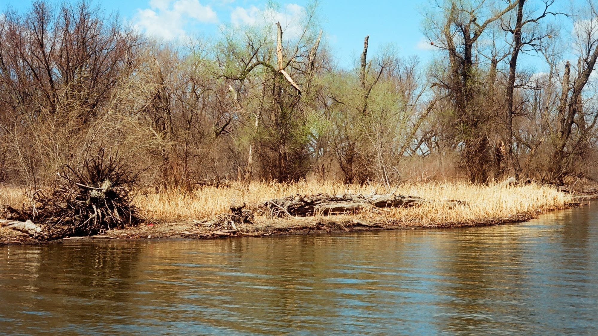 Project underway to build islands in Pig’s Eye Lake in St. Paul | MPR News