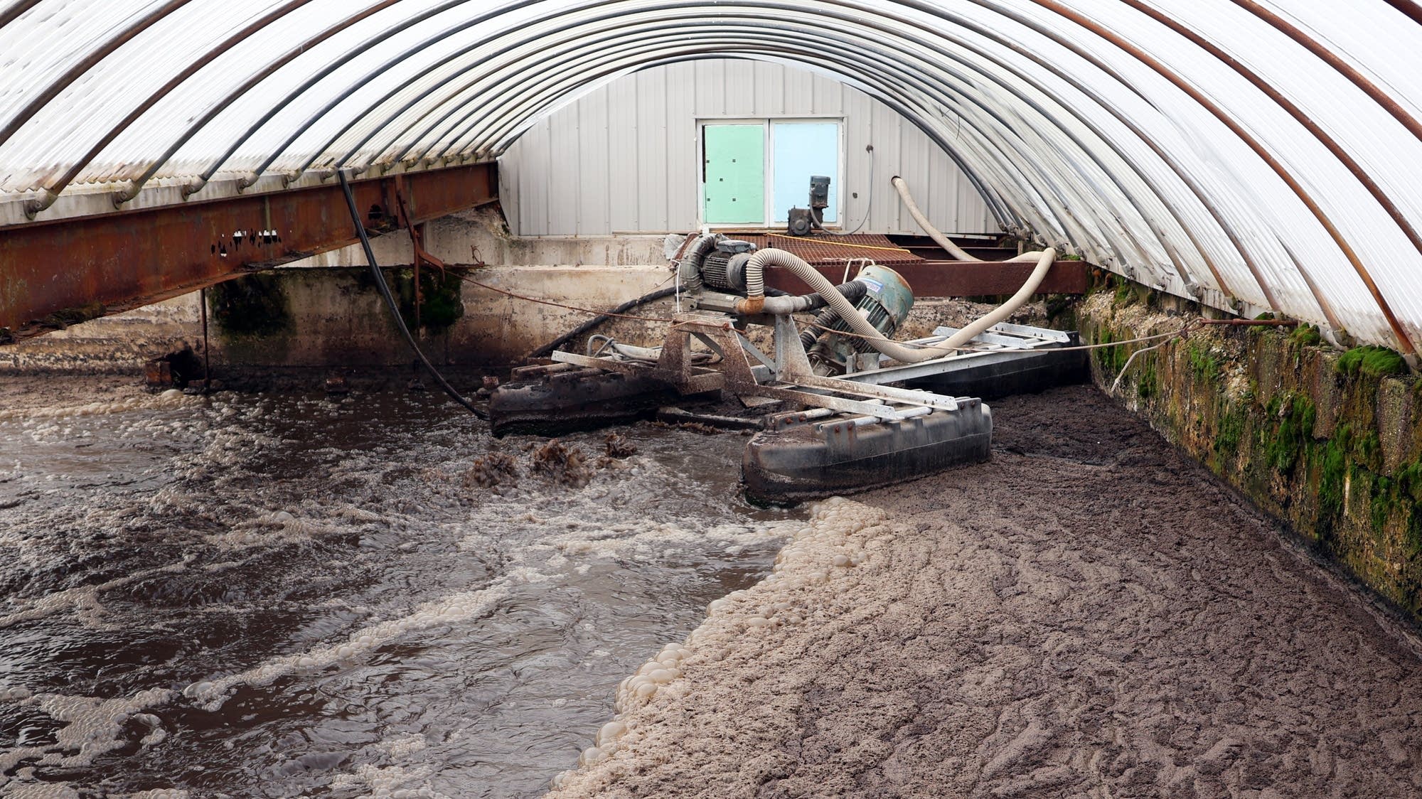 Small solutions to the big phosphorus water quality challenge | MPR News